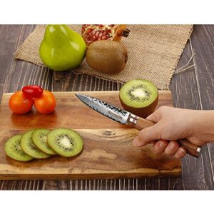 YOUSUNLONG Paring Knives 3.5 Inch - Japanese Hammered Damascus Steel Peeling Knife - Natural Walnut Wooden Handle