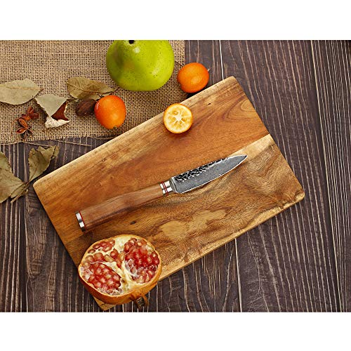 YOUSUNLONG Paring Knives 3.5 Inch - Japanese Hammered Damascus Steel Peeling Knife - Natural Walnut Wooden Handle