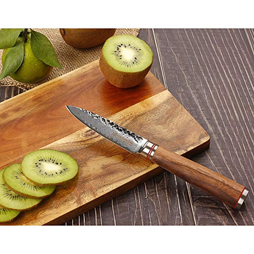 YOUSUNLONG Paring Knives 3.5 Inch - Japanese Hammered Damascus Steel Peeling Knife - Natural Walnut Wooden Handle