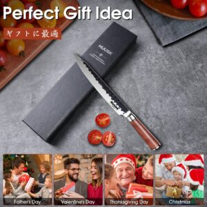 Huusk Japanese Slicing Knife 8 Inch Sushi Knife & 6" Boning Fillet Knife, Hand Forged Sashimi Knife & Butcher Knife, Deboning Knife for Meat with Gift Box