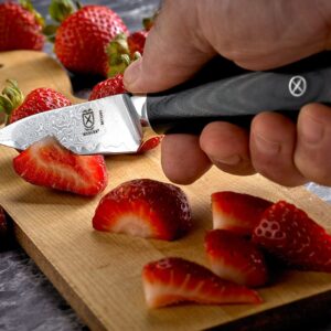 Mercer Culinary M13791 Premium Grade Super Steel, 3.5-Inch Paring Knife, G10 Handle