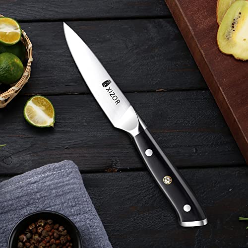 XIZOR Paring Knife 3.5 Inch Fruit and Vegetable Knife Multi-Purpose Japanese Peeling Knife High Carbon German Steel Full Tang Handle & Ergonomic Design,Small,Razor Sharp Blade