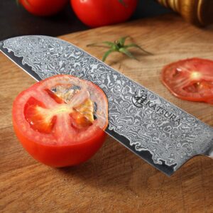 KATSURA Santoku Knife – 5 Inch – Japanese Premium AUS 10, 67 Layers Damascus Steel Knife