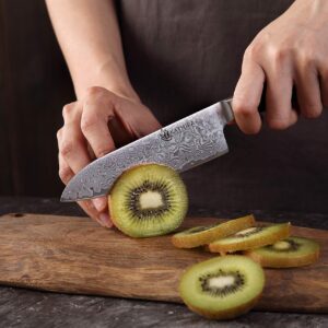 KATSURA Santoku Knife – 5 Inch – Japanese Premium AUS 10, 67 Layers Damascus Steel Knife