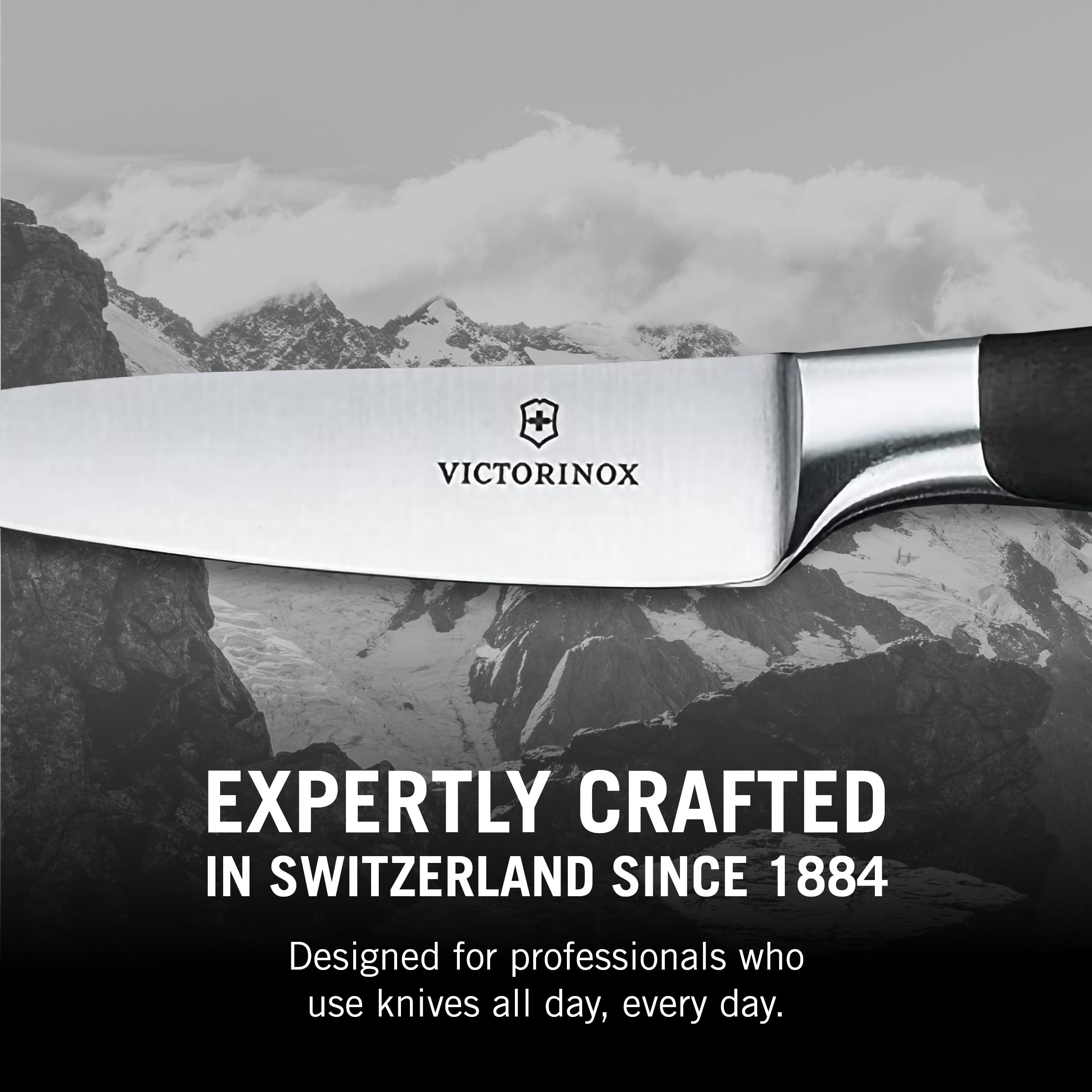 Victorinox Grand Maitre Paring Knife - Kitchen Knife for Slicing Fruits & Vegetables - Ergonomic Cooking Knife - Premium Stainless Steel Cutting Knife for Kitchen Accessories - 3"