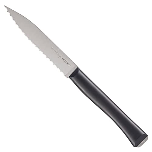 Opinel Intempora 4 Inch Serrated Paring Knife, Serrated High Carbon Steel Blade, Easy to Handle, Full Tang Construction, Ideal for Cutting Tough Skins, Made in Portugal