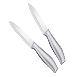 stainless steel fruit knife, 2 fruit knife small, sharp blade, integrated stainless steel blade, comfortable handle, exquisite appearance, suitable for most vegetables and fruits