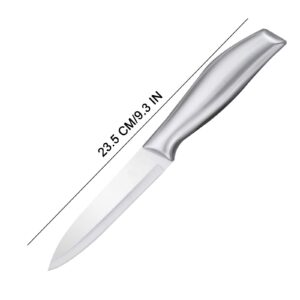 Stainless Steel Fruit Knife, 2 Fruit Knife Small, Sharp Blade, Integrated Stainless Steel Blade, Comfortable Handle, Exquisite Appearance, Suitable for Most Vegetables and Fruits