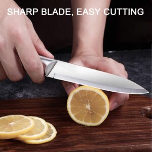 Stainless Steel Fruit Knife, 2 Fruit Knife Small, Sharp Blade, Integrated Stainless Steel Blade, Comfortable Handle, Exquisite Appearance, Suitable for Most Vegetables and Fruits