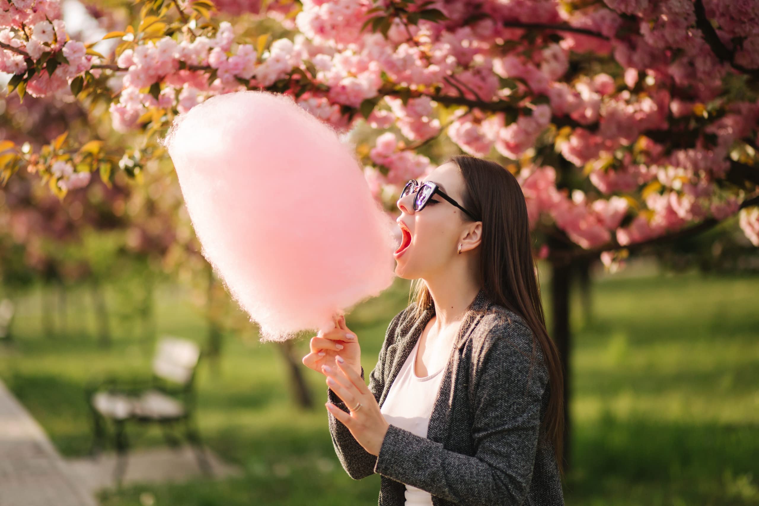 Eco Craft Stix Cotton Candy Floss Sugar -2pk Cotton Candy Floss Sugar (Pink Vanilla and Blue) Brand Name, 2 Pack