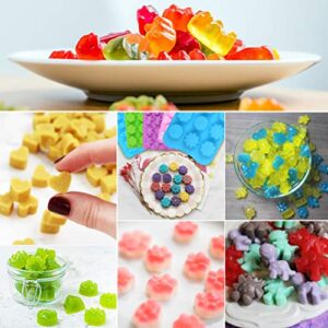 Alimat PluS Silicone Gummy Molds Candy Molds with 2 Droppers - BPA Free Nonstick Chocolate Molds Including Mini Dinosaur, Cat Claw, Hearts, Flowers, Bear Shape Gummie Molds - Pack of 5 for 210 Gummies