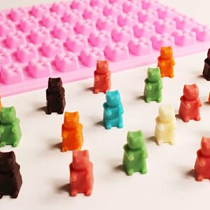 Alimat PluS Silicone Gummy Molds Candy Molds with 2 Droppers - BPA Free Nonstick Chocolate Molds Including Mini Dinosaur, Cat Claw, Hearts, Flowers, Bear Shape Gummie Molds - Pack of 5 for 210 Gummies