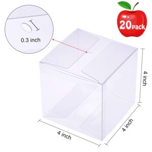 Clear Candy Apple Boxes with Hole 4"x 4"x 4" Transparent Favor Boxes Set of 20 Food-Grade Treat Box for Caramel Apples Cake Pops Cookies Chocolates (Clear, 20)