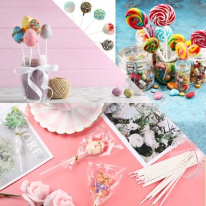 300Pcs 6 Inches Cake Pops Making Tools 100Pcs Cake Pop Sticks 100Pcs Cake Pop Bags and 100Pcs Twist Ties (Thin stick)