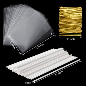 300Pcs 6 Inches Cake Pops Making Tools 100Pcs Cake Pop Sticks 100Pcs Cake Pop Bags and 100Pcs Twist Ties (Thin stick)