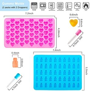 YLhao Gummy Candy Molds Silicone, Mini Fun Gummy Bear Molds - Heart Shaped Mold, 105 Cavities with 2 Droppers Silicone Gummy Molds, Food Grade, Non Stick 2 Pack (Blue, Pink)