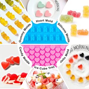 YLhao Gummy Candy Molds Silicone, Mini Fun Gummy Bear Molds - Heart Shaped Mold, 105 Cavities with 2 Droppers Silicone Gummy Molds, Food Grade, Non Stick 2 Pack (Blue, Pink)