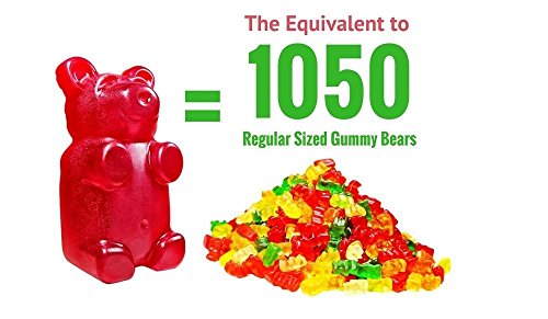 DIY Giant Gummy Bear Mold by Mister Gummy | PREMIUM Quality Silicone + 2 RECIPES and 5 GIFT BAGS Included | Make BIG Bear Treats! (Gummy, Cakes, Breads, Chocolates, and More) (Red)