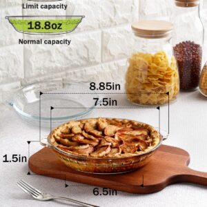 ZYER Glass Pie Plate 25oz Small Pie Dish Small Pie Pan for 1~2, Glass Pie Dish for Baking, 7.5 Inch 2pack