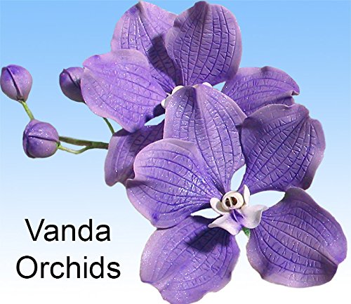 Vanda Orchid Cutter Set by WSA