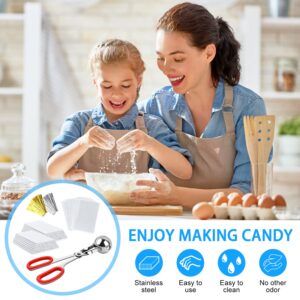 WXJ13 601 Pieces Lollipop Cake Pop Treat Bag Set including 200 Parcel Bags 200 Lollipop Sticks 200 Twist Tie, and 1 Cookie Meatball, Cake Pops Making Tools for Candies, Chocolates and Cookies