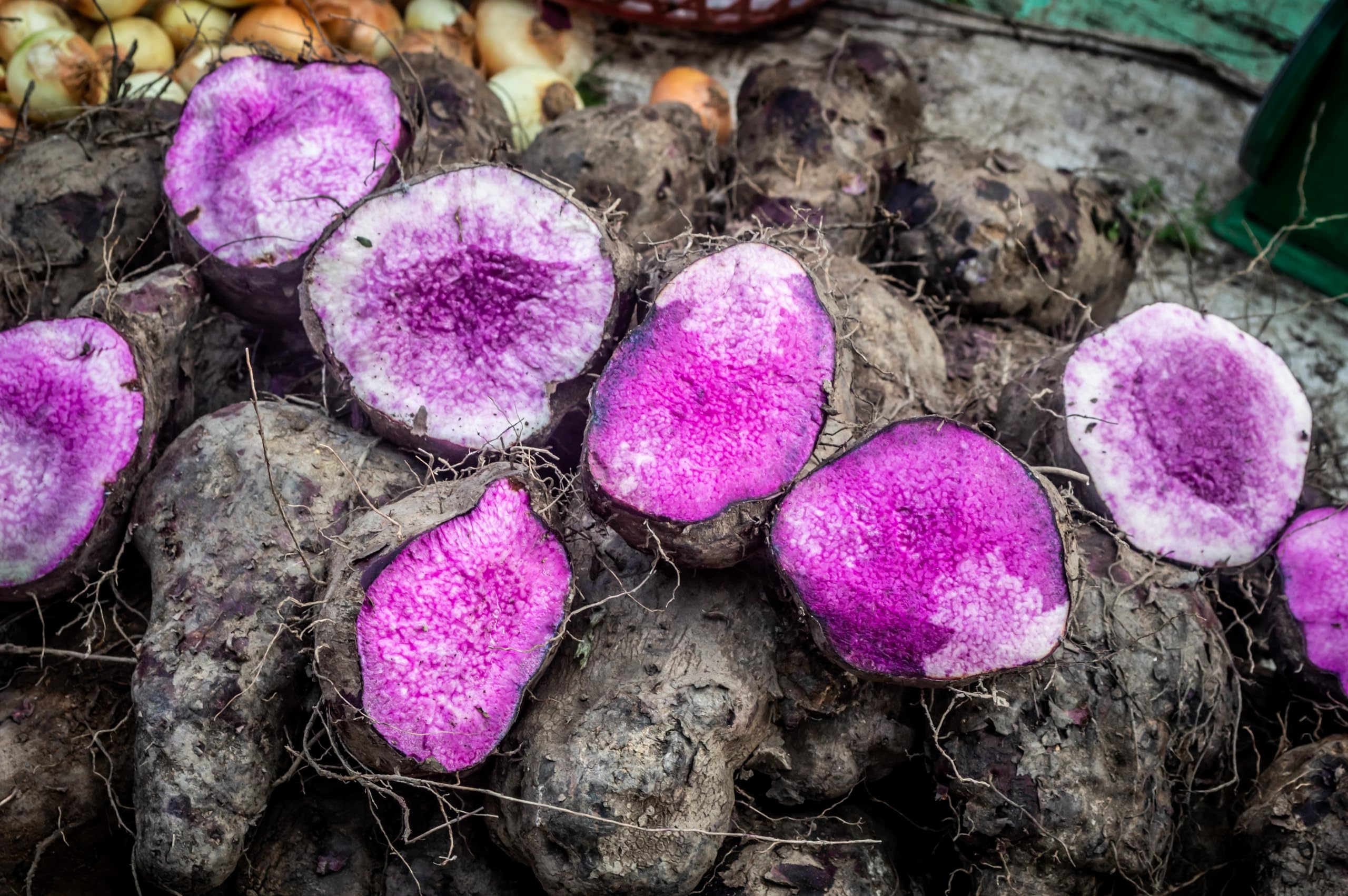 Purple Taro Powder - Naturally Dyes Food Purple/violet - Net Weight: 2.65oz / 75g - Violet Food Dye For Ice Cream, Frozen Yogurt, Smoothies & Bubble Tea - 100% Pure & Natural Colocasia Esculenta