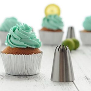 BeBeFun Piping Tips Large Icing Tips Cake Decorating Large Piping Tips Set Cupcake Frosting Piping Kit Extra Large Size In Set.