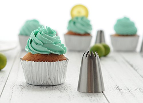 BeBeFun Piping Tips Large Icing Tips Cake Decorating Large Piping Tips Set Cupcake Frosting Piping Kit Extra Large Size In Set.