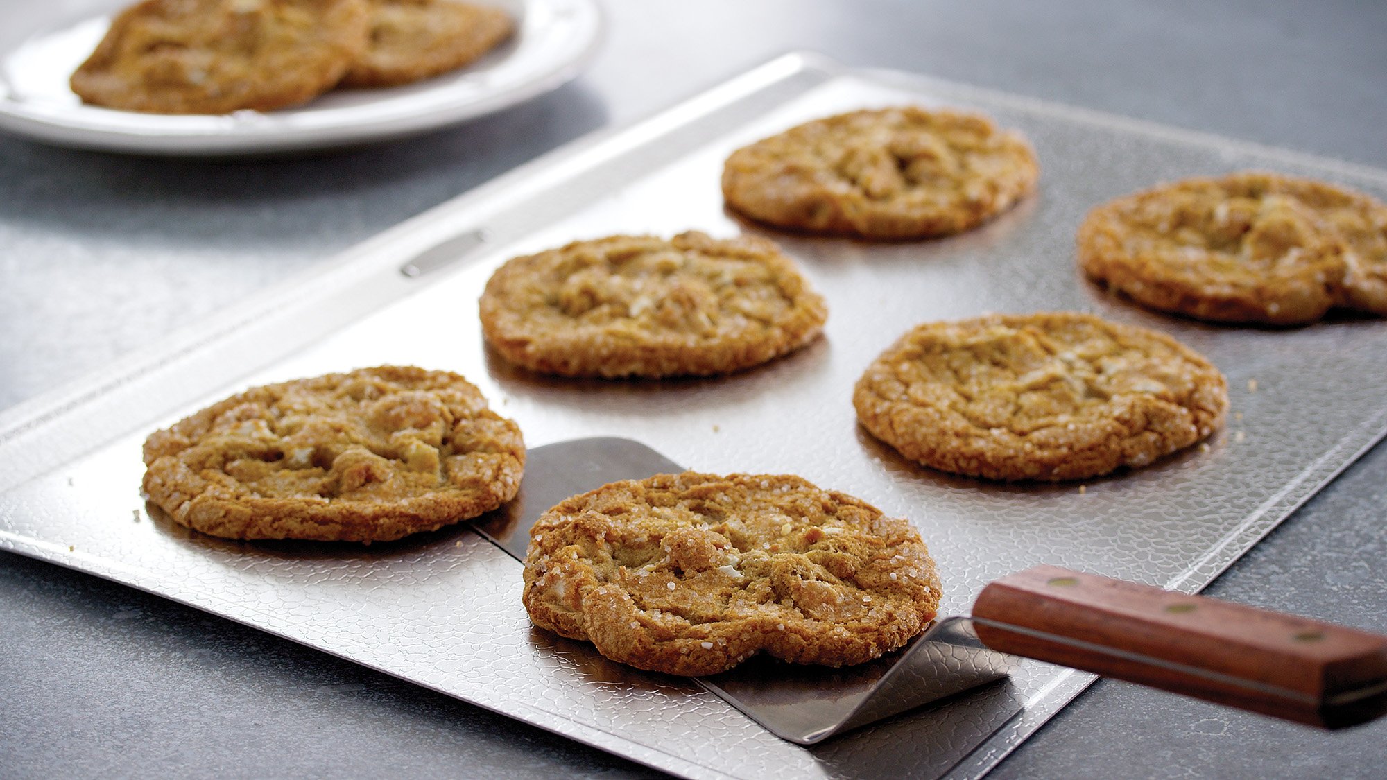 Doughmakers Great Grand Cookie Sheet