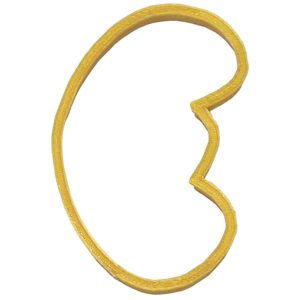 CookieCutterCom Brand Kidney Cookie Cutter 4 inch – 3d Printed Plastic – USA Made