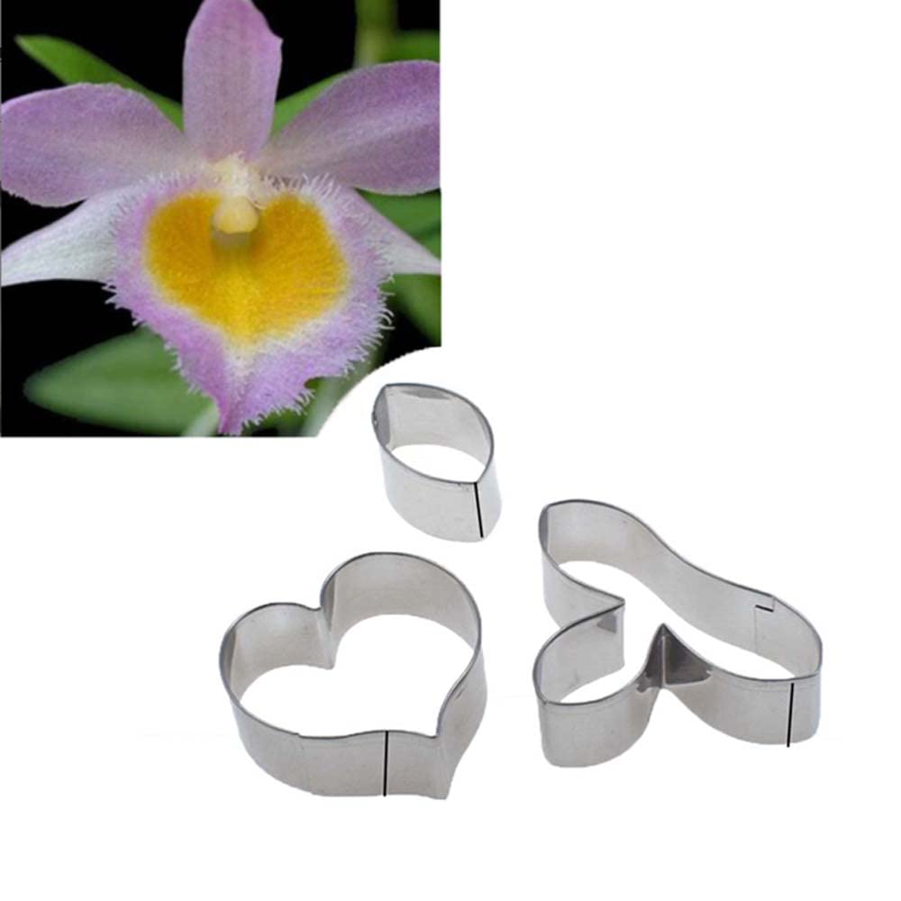 RELAND SUN Stainless Steel Heart Dendrobium Flower Petals Cookie Cake Decorating Tools Fondant Mould Kitchen Accessories