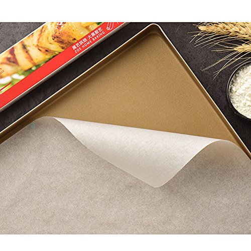 Baking Paper (33Feet /Roll) Two-sided Non Stick Parchment Baking Silicon Paper for Kitchen/Cookies/Bread/Cakes