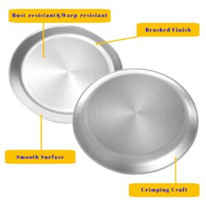 HOHUNGF Small Stainless Steel Pizza Pan Round Pizza Tray, Round Pizza Plate For Pie Cookie Pizza Cake, Non Toxic & Heavy Duty, Brushed Finish & Easy Clean & Diameter 10.3 Inch