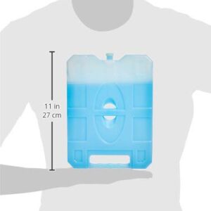 Amazon Basics Reusable Hard Sided Rectangular Ice Pack, Pack of 4, Large, Blue, 10.4" X 7.9" X 1.2"