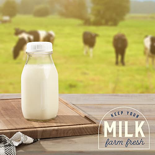 kitchentoolz 12 Oz Square Glass Milk Bottle with Lids- Perfect Milk Container for Refrigerator - 12 Ounce Glass Milk Bottle with Tamper Proof Lid and Pour Spout - Pack of 1