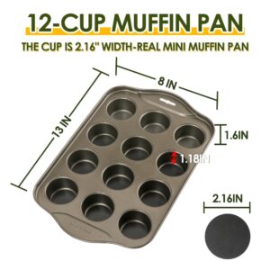 Cyimi Mini Muffin Pan 12 Cup with Removable Bottom,Nonstick Cupcake Pans for Baking,Mini Muffin Cheesecake Tin for Oven, 12 Cavity Premium Carbon Steel Bakeware for Bite Size Tarts