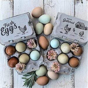 half dozen empty egg cartons- 15 full dozen can split to 30 half dozen size cartons- securely holds 6 or 12 extra large eggs