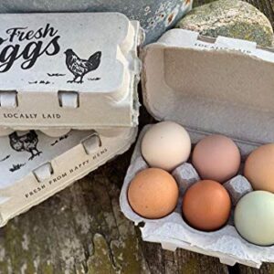 Half Dozen Empty Egg Cartons- 15 Full Dozen Can Split to 30 Half Dozen Size Cartons- Securely Holds 6 or 12 Extra Large Eggs