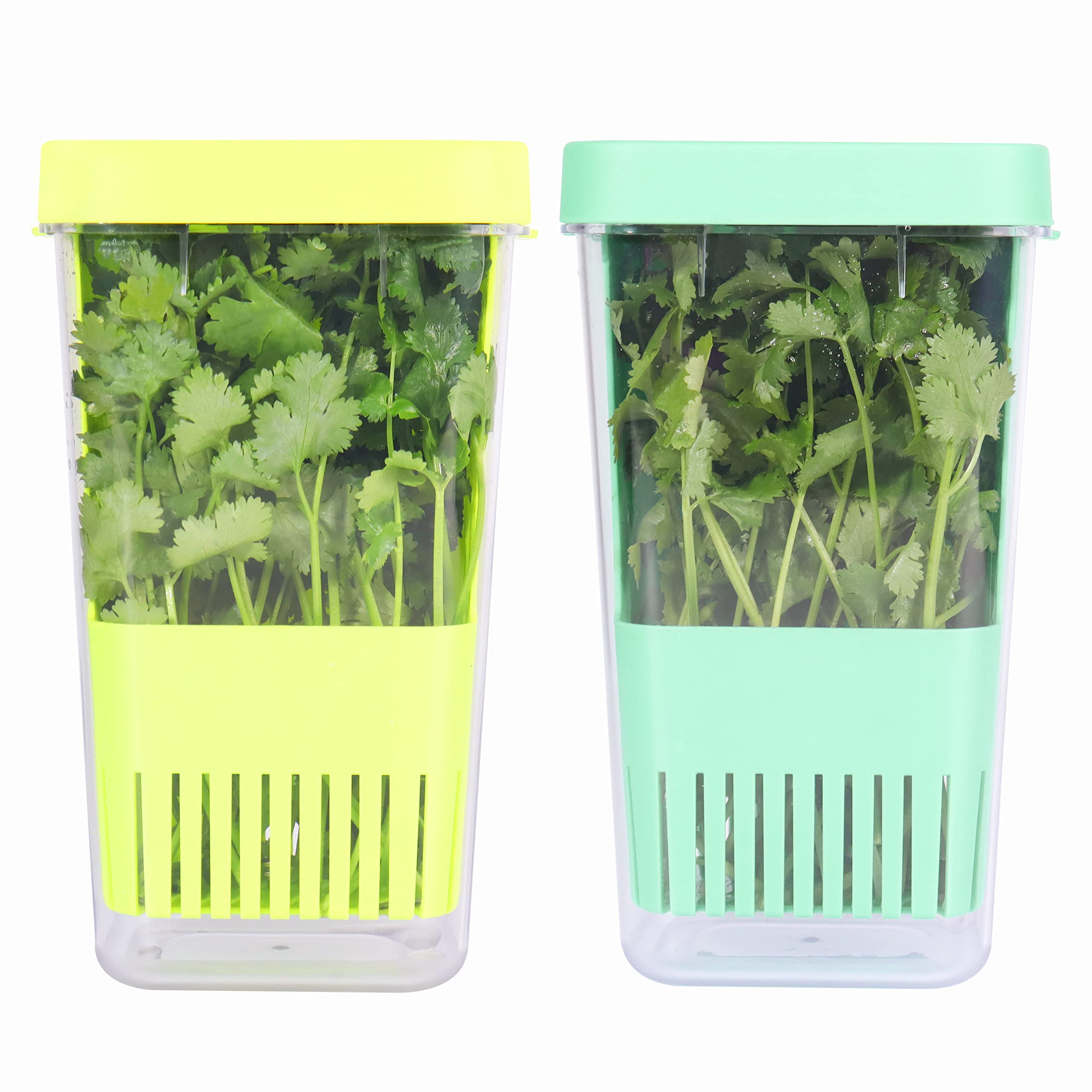 LUVCOSY 2 Pack Herb Keeper, BPA-Free Plastic Herb Saver with an Inner Basket for Cilantro, Mint, Parsley, and Asparagus, Keeps Fresh Herbs for 3 Times Longer