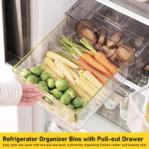 Greenby 4 Pack Refrigerator Organizer Bins with Pull-out Drawer Stackable Clear Fridge Drawer Organizer Fruit Vegetable Storage Containers for Kitchen Pantry Organization (2 Large+2 Small)