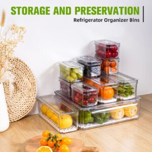 GODORIO Set of 10 Fridge Organizers, Stackable Refrigerator Organizer Bins with Lids, BPA-Free Fridge Organizers and Storage Clear Containers, Clear Plastic Pantry Storage Bins for Fruits, Vegetable