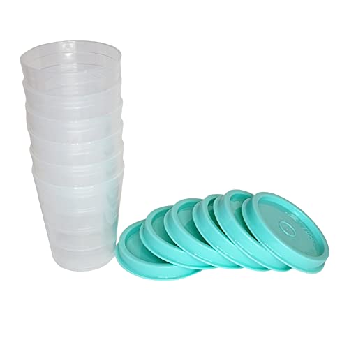 Tupperware Tupper Minis Classic Sheer Midgets Set in Natural with Aqua Seal