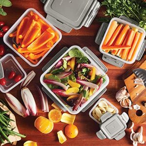 Rachael Ray Leak-Proof Nestable Container Food Storage Bin Set, 10-Piece Square, Gray Lid