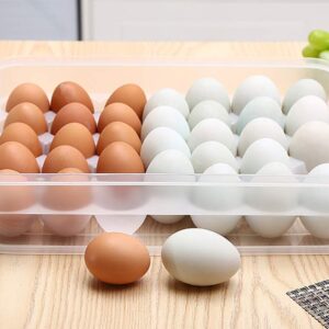 AFXOBO 34 Grid Egg Storage Box Food Container Egg Refrigerator Storage Box Household Kitchen Transparent Box Egg Box Shelf