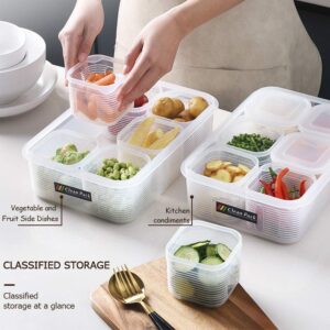 Sel natural Food Storage Containers with Lids Airtight,Plastic Reusable Fresh Produce Fruit Storage Organizer Storage Bin with 6 detachable small boxes for Storing Fish, Meat, Vegetables