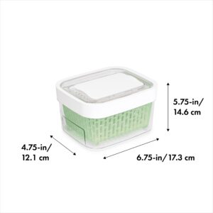 OXO Good Grips GreenSaver Produce Keeper - Large,White and OXO, Good Grips Storage Container