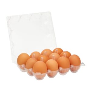 Stockroom Plus 48-Pack Plastic Egg Cartons, Holds 1 Dozen with Date Labels Included, Bulk Pack of Reusable Egg Cartons for Chicken Eggs, Home Ranch, Farm, Commercial Use, Market Display