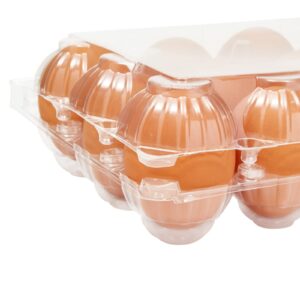 Stockroom Plus 48-Pack Plastic Egg Cartons, Holds 1 Dozen with Date Labels Included, Bulk Pack of Reusable Egg Cartons for Chicken Eggs, Home Ranch, Farm, Commercial Use, Market Display