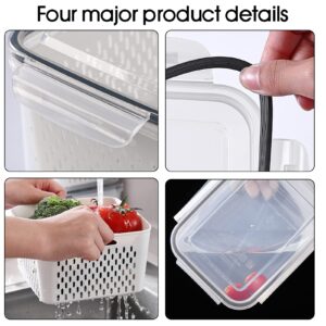 CD HOME 4 PCS Fruit Containers for Fridge -Airtight Food Storage Containers with Removable Colander - Dishwasher & microwave safe Produce Containers Keep Fruits,Berry, Vegetables, Fresh longer