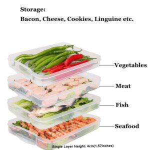 TIAN CHEN Refrigerator Organizer Bins, Plastic Food Storage Containers with Lids, 3-Layer, BPA free, Stackable Food Organizer Keeper for Snack, Vegetables, Meat, Fish (Transparent)